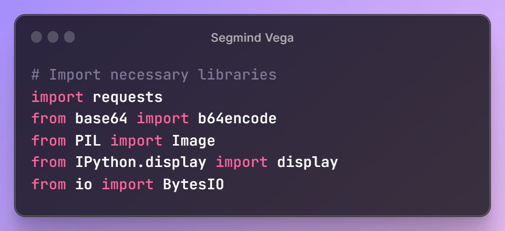 Segmind Vega: Model Deep Dive